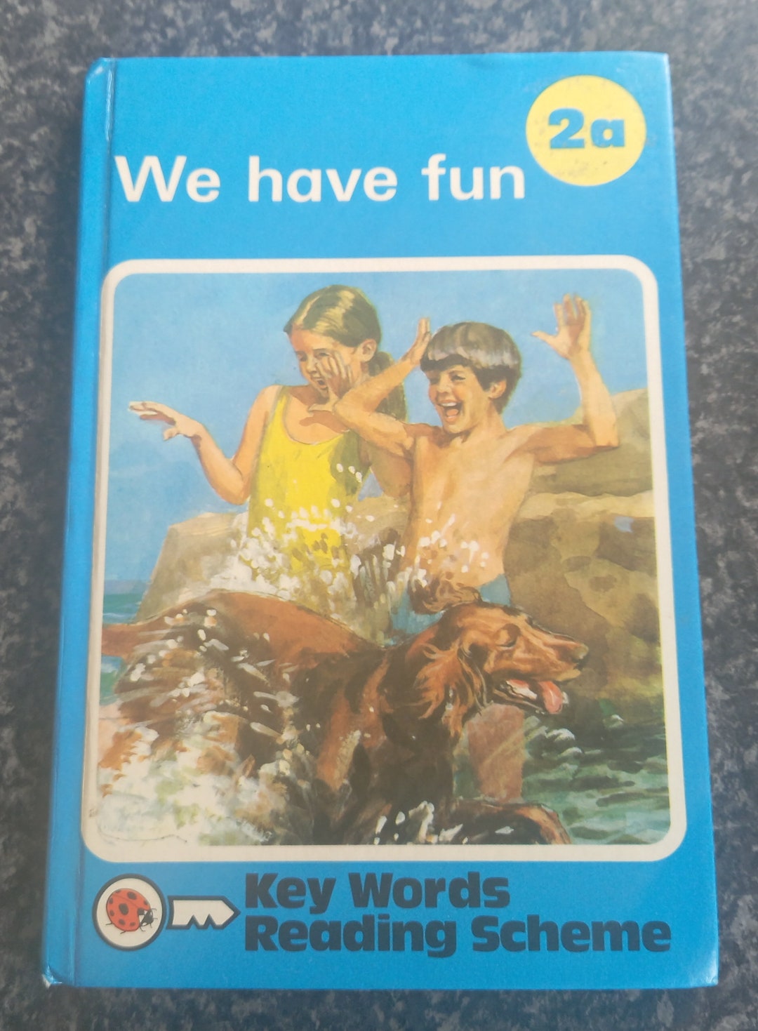 Ladybird Book Key Words Reading Scheme 2a We Have Fun. - Etsy