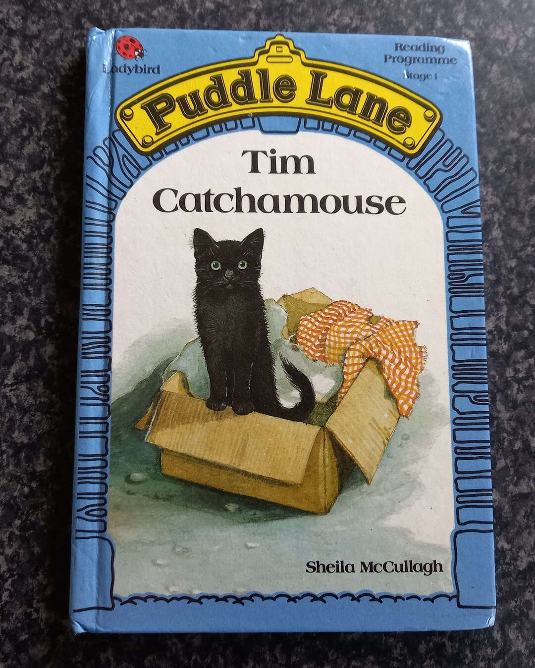 Ladybird Puddle Lane Tim Catchamouse - Etsy