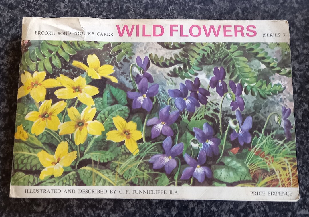 Brooke Bond Picture Cards Wild Flowers Series 3 Complete in Album - Etsy