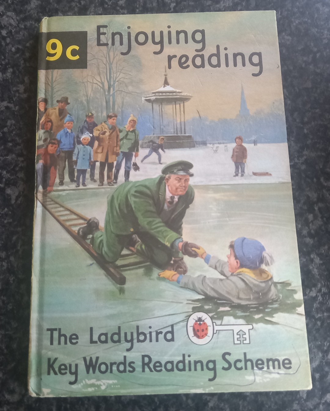 Ladybird Key Words Reading Scheme 9c Enjoying Reading LB22 - Etsy
