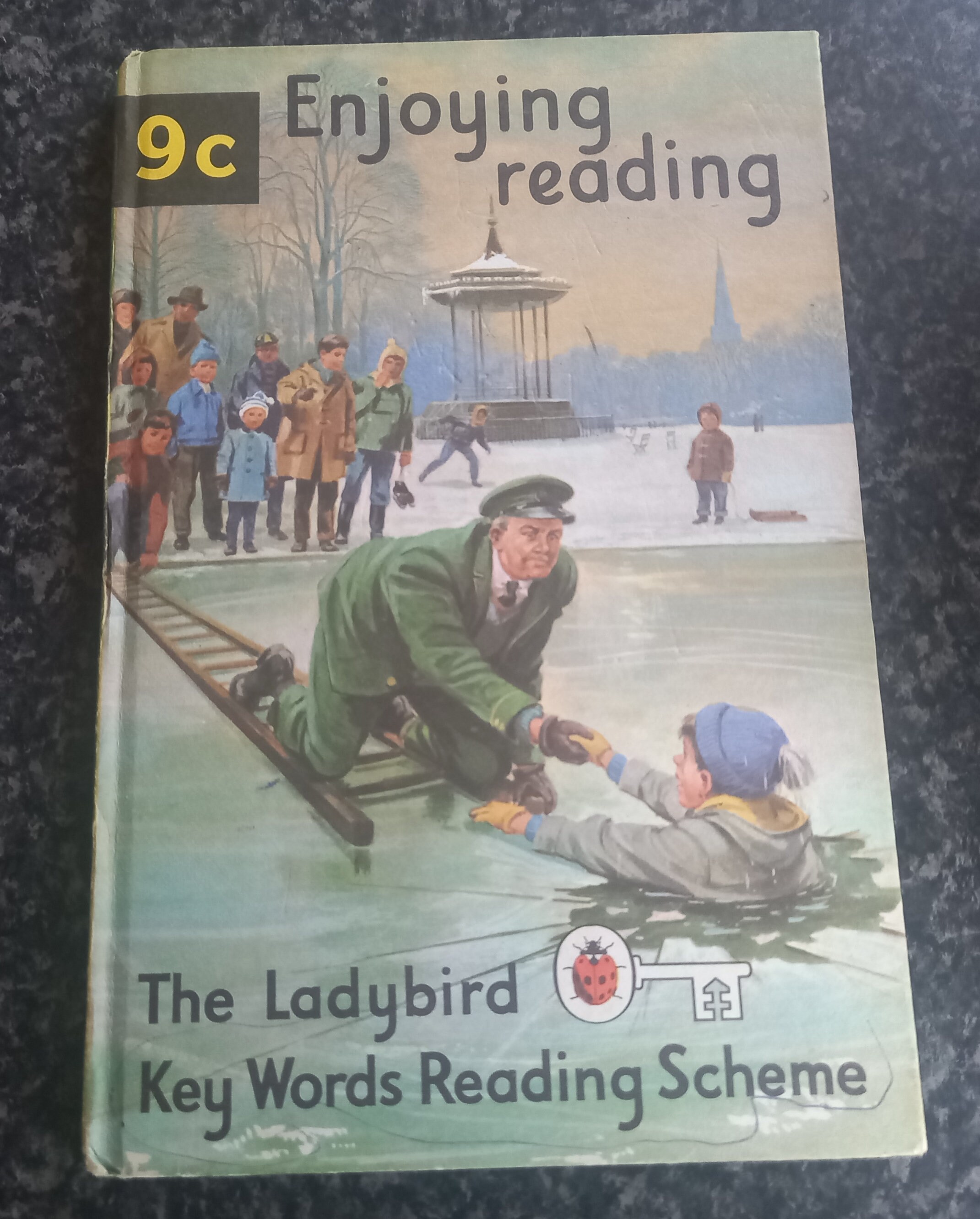 Ladybird Key Words Reading Scheme 9c Enjoying Reading LB22 - Etsy