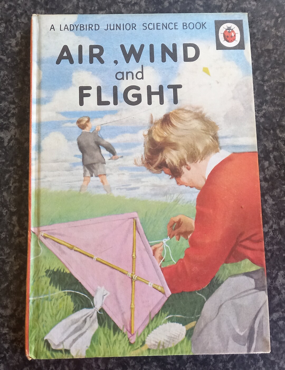 Ladybird Junior Science Book. Air Wind and Flight. - Etsy