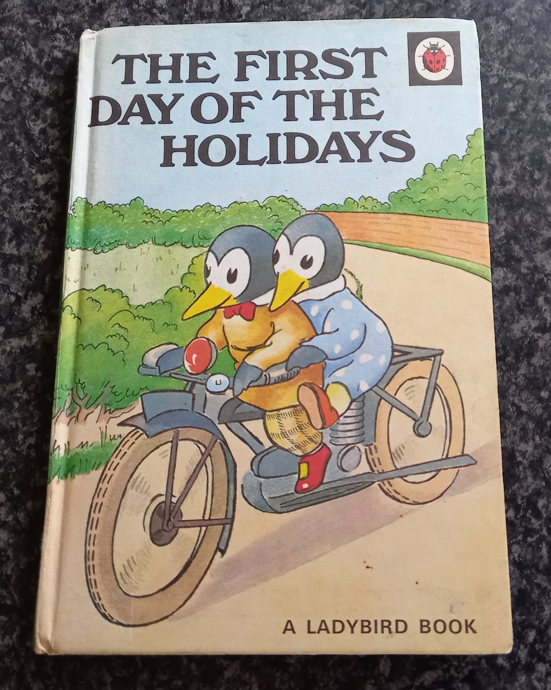 Ladybird Book. the First Day of the Holidays ( BGC) - Etsy