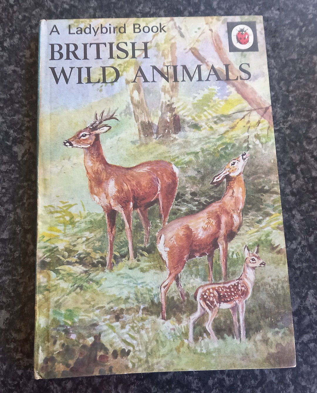 Ladybird Book British Wild Animals - Etsy