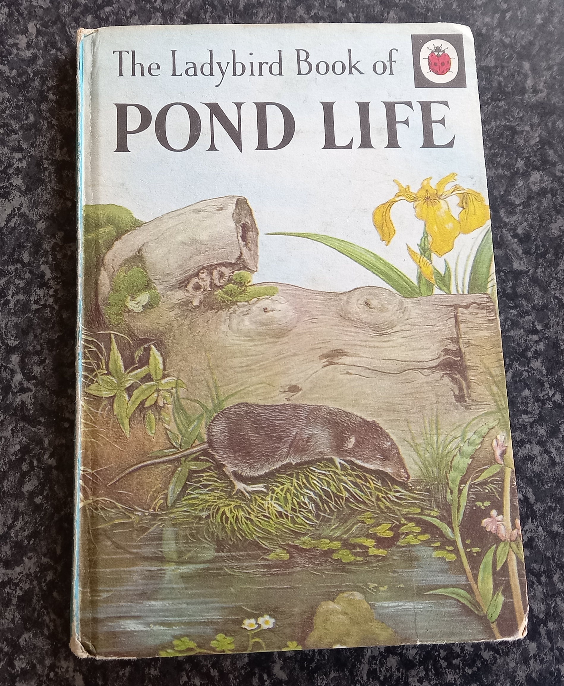 Ladybird Book Pond Life Series 536 ( LB80 ) - Etsy