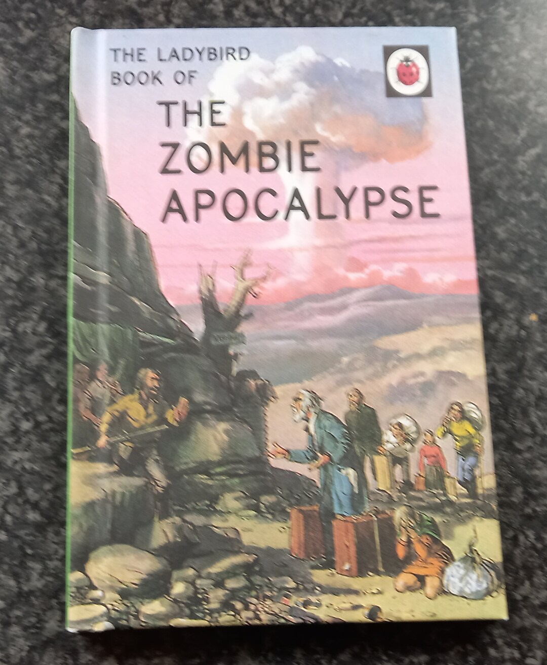 The Ladybird Book of the Zombie Apocalypse LB80 - Etsy