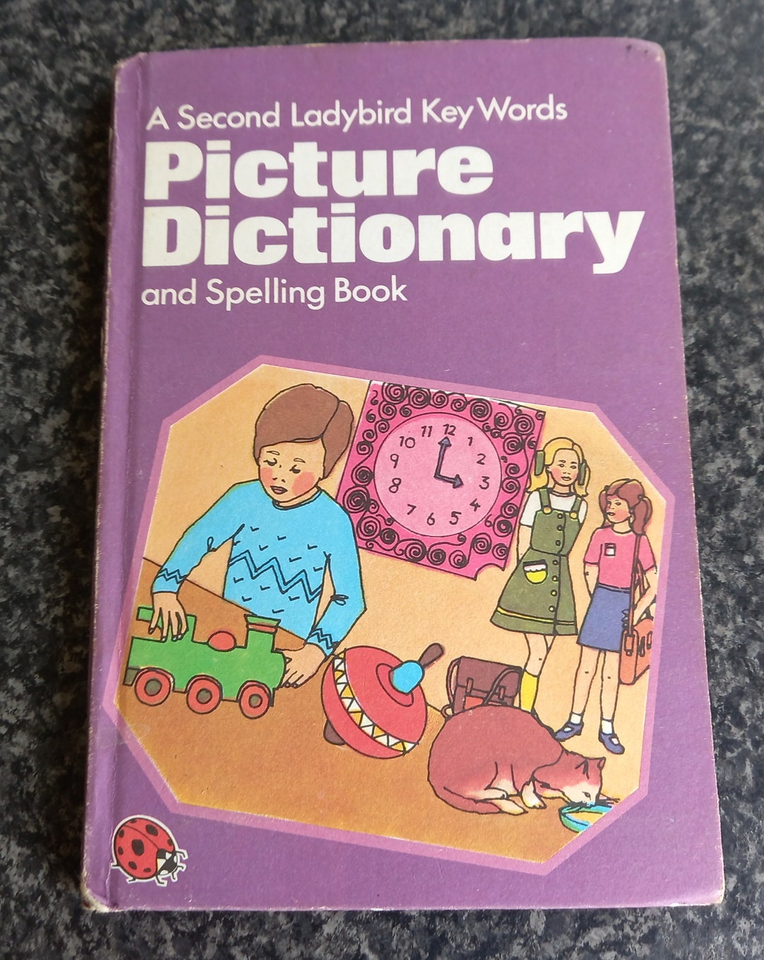 Ladybird Book. Second Picture Dictionary and Spelling Book - Etsy