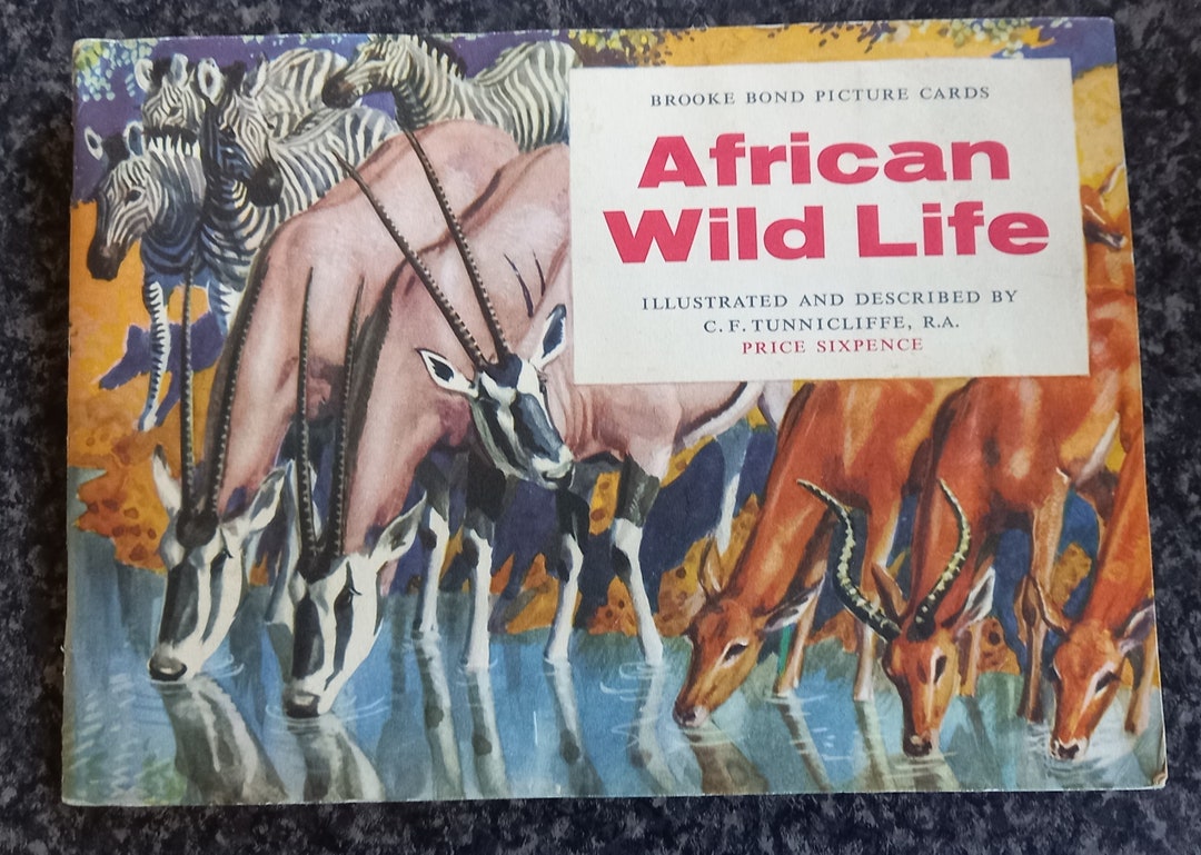 Brooke Bond Picture Cards. African Wild Life. Complete Set in Album - Etsy