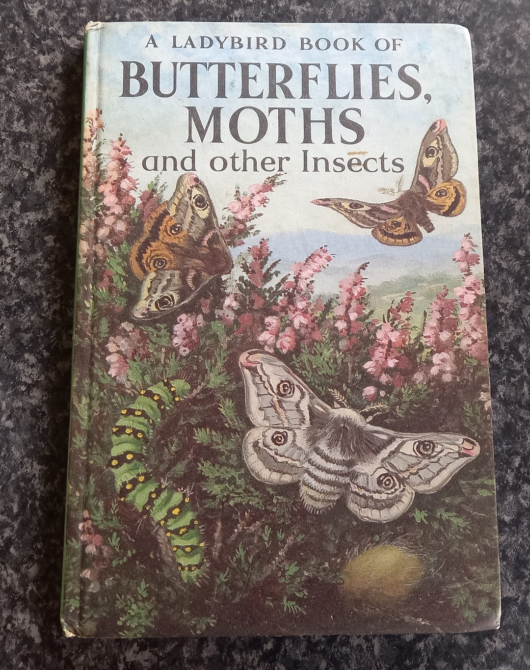 Ladybird Book of Butterflies Moths and Other Insects. ( LB28 ) - Etsy
