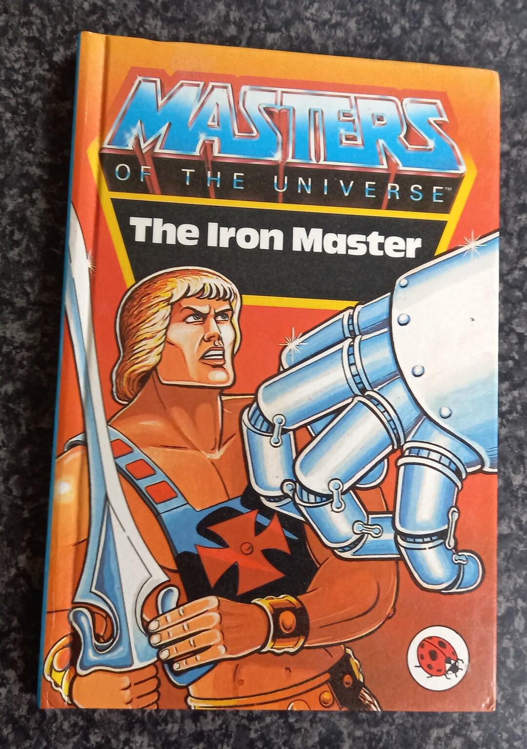 Ladybird Masters of the Universe. the Iron Master. - Etsy