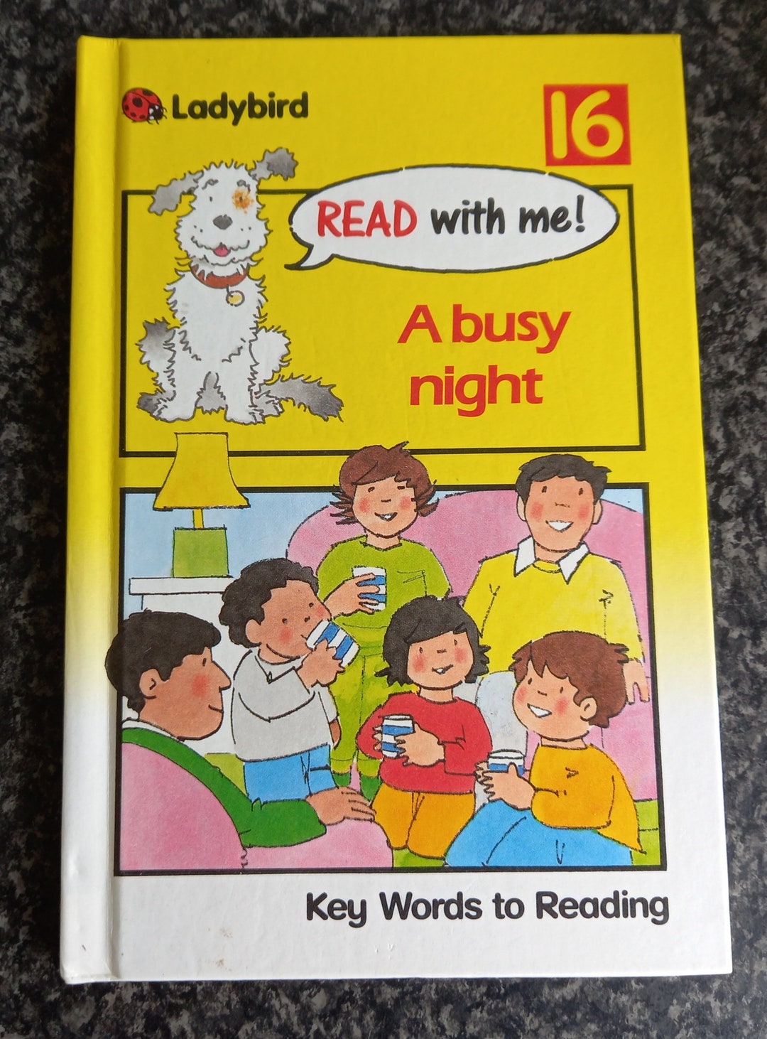 Ladybird Read With Me ! A Busy Night Number 16 ( LB26 ) - Etsy