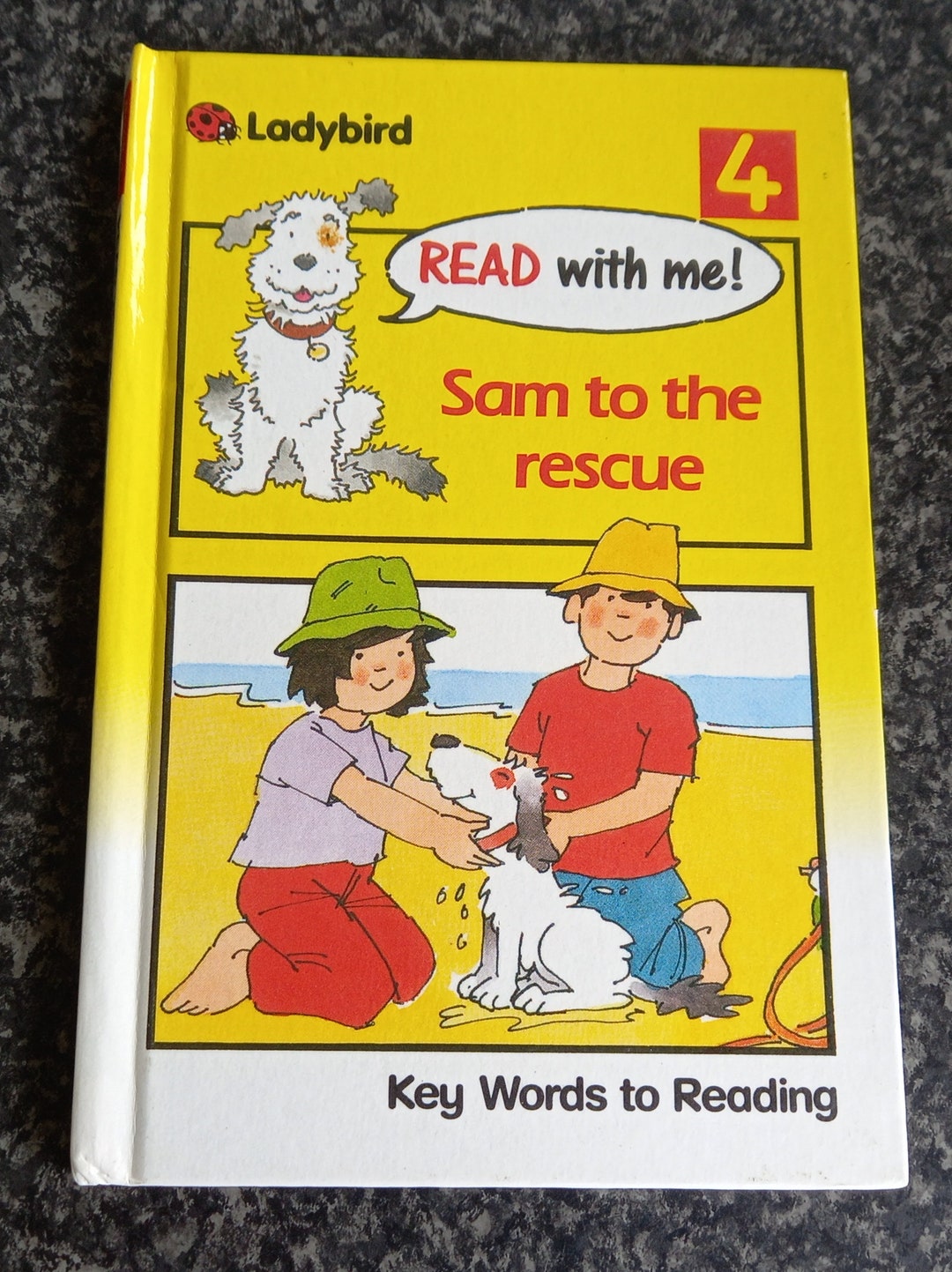Ladybird Read With Me. Book 4 Sam to the Rescue. - Etsy
