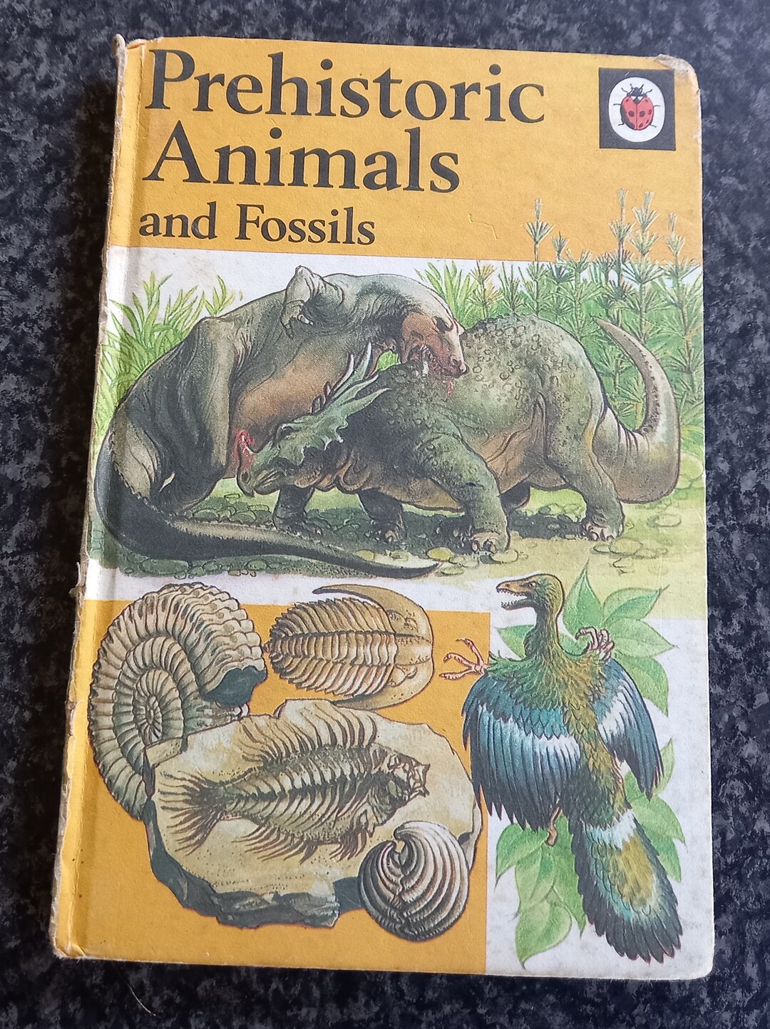 Ladybird Book Prehistoric Animals and Fossils ( PBK ) - Etsy
