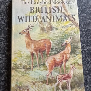 Ladybird Book British Wild Animals - Etsy