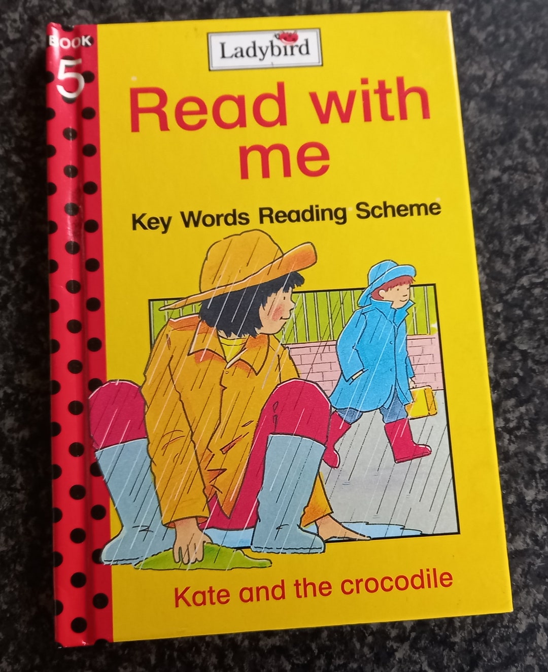 Ladybird Key Words Reading Scheme Read With Me Book 5 Kate and the ...