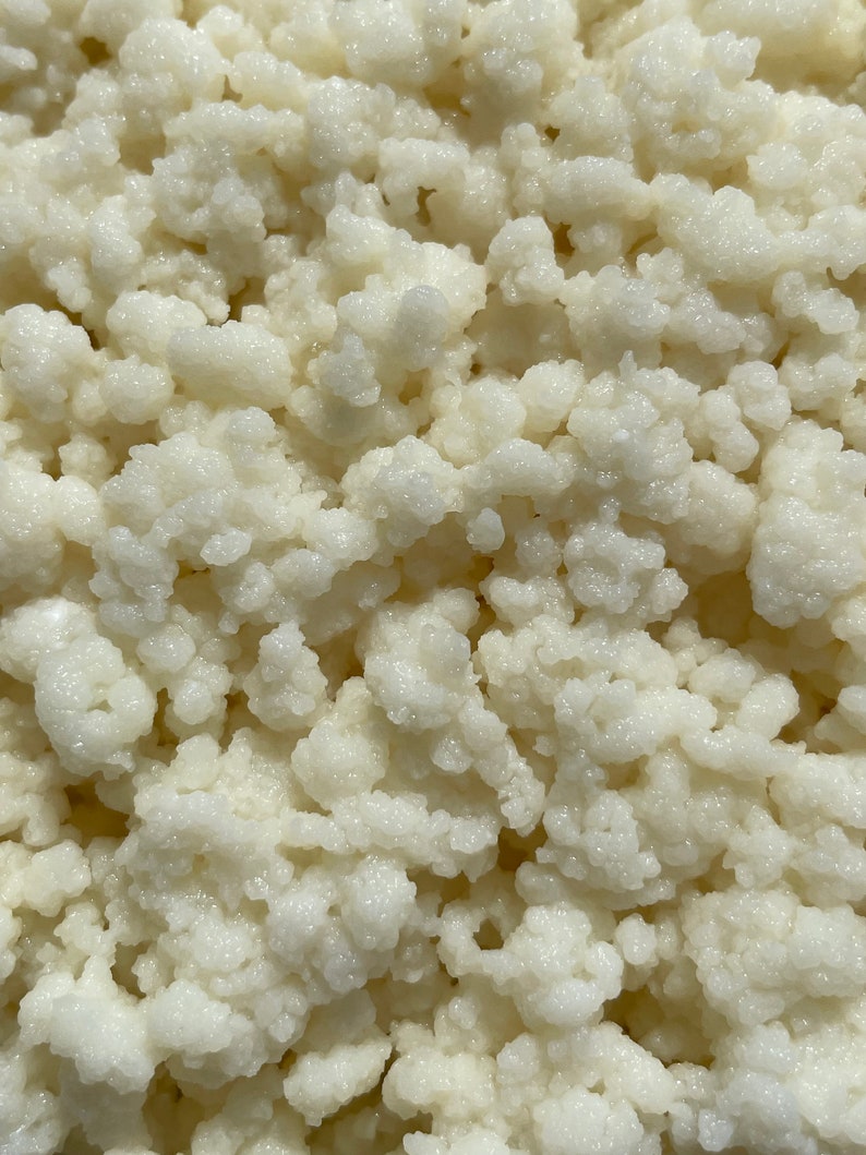 Milk Kefir Grains Starter Kit - Complete Recipe Included - Etsy