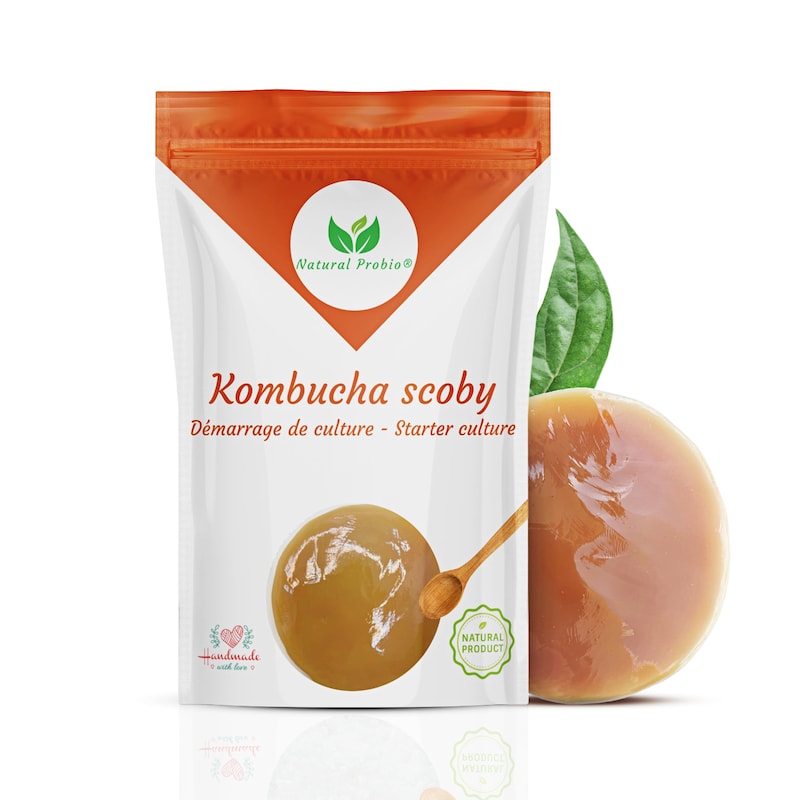 Starter kombucha kit - Etsy Italia