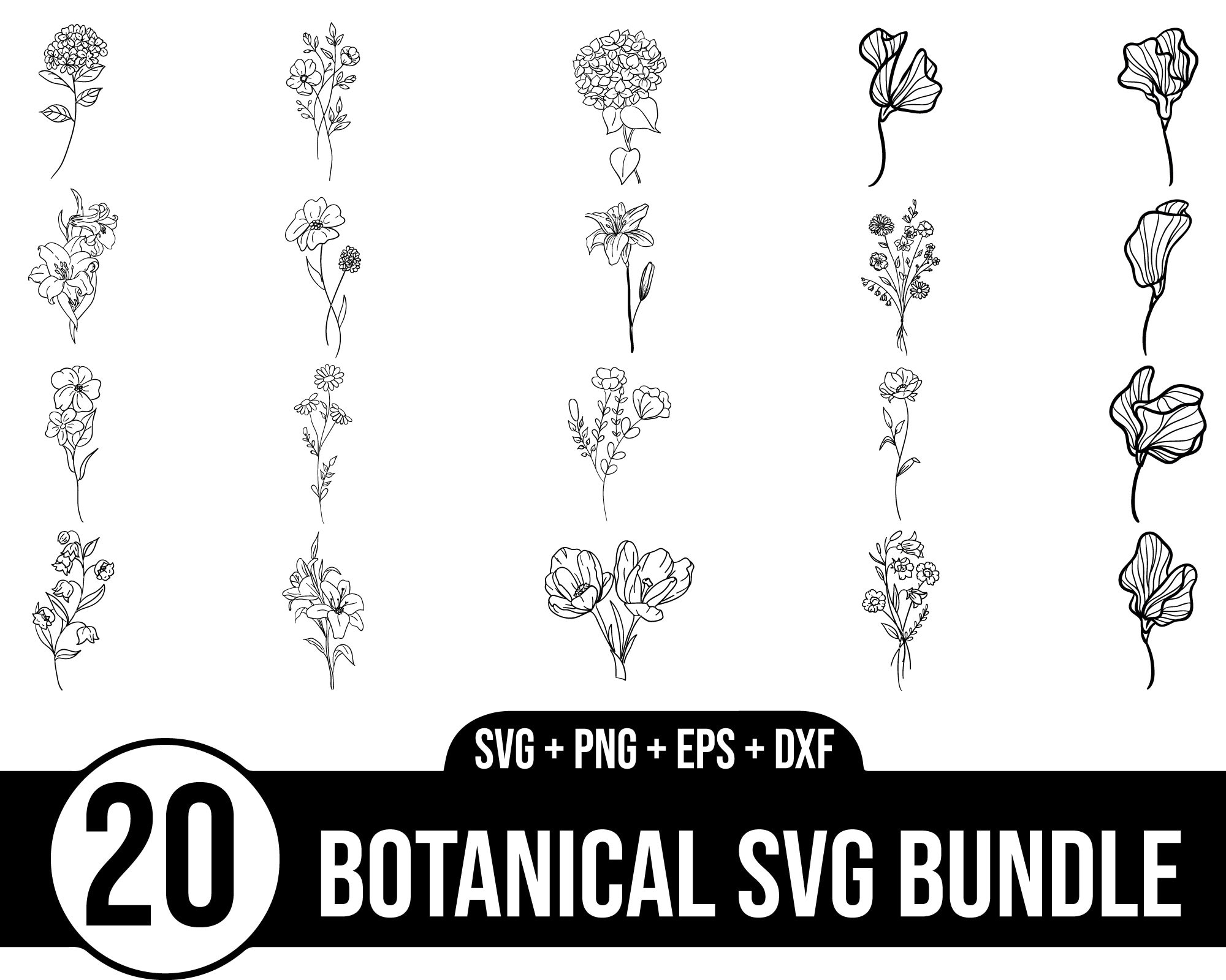 Botanical Svg Bundle Plant Svg Line Art Svg Floral Svg - Etsy