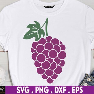 Grapes, Grapes Svg, Grape Svg, Fruit, Summer Svg, Purple Grape Cluster ...