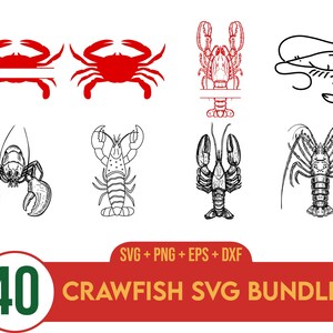 Crawfish Svg Bundle, Crawfish Png, Crawfish Boil Svg, Crawfish Clipart ...