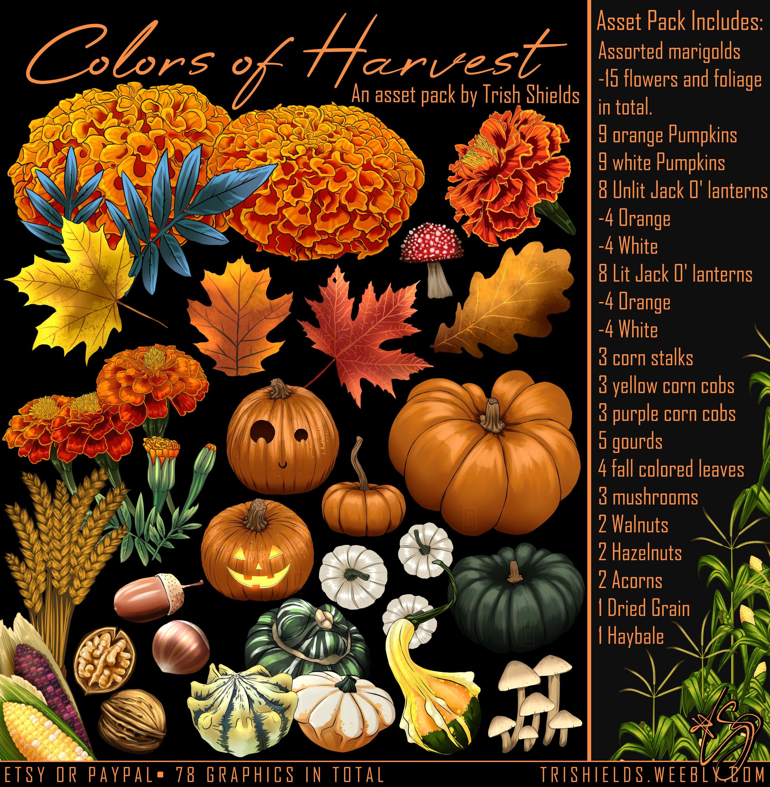 Colors of Harvest - Asset Pack - Etsy
