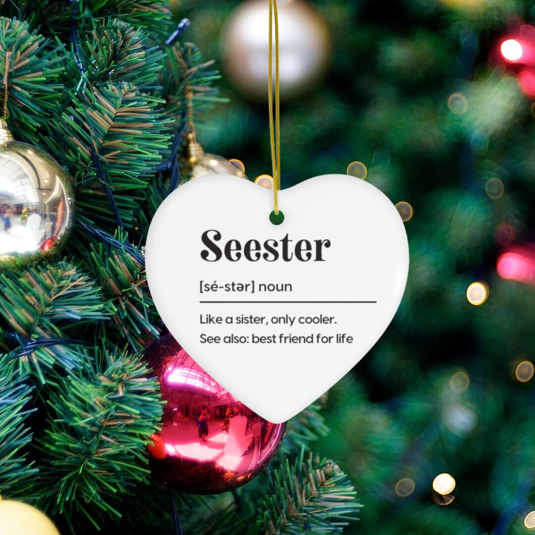 Sister Christmas Ornament Seester Noun Definition Gift for Best Friend ...