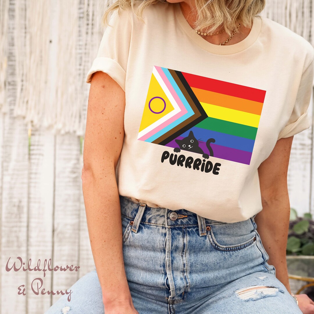 Progress Pride Flag Shirt,subtle Pride Shirt,pride Outfit,lgbtq Tshirt ...