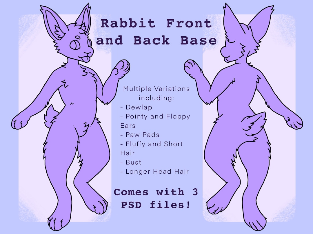 Rabbit Front And Back Furry Base P2u Anthro Bunny Fursona Ref Sheet