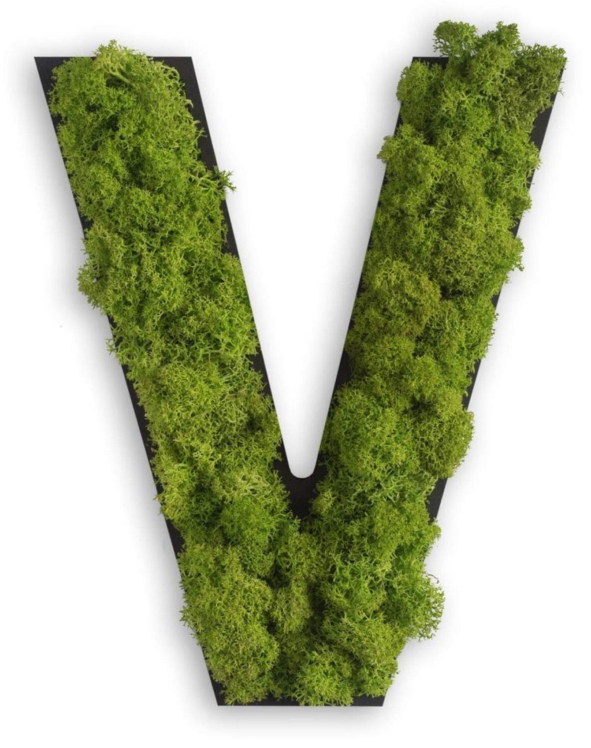 Custom Moss Logo - Moss Letter - Reindeer Moss - Custom Moss Sign ...