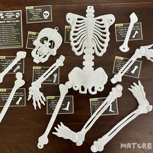 Skeleton Scavenger Hunt - Etsy