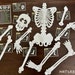 Skeleton Scavenger Hunt - Etsy