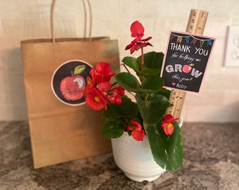 Teacher Appreciation Gift Set: Thank You for Helping Me Grow all About ...