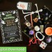 Skeleton Scavenger Hunt - Etsy