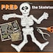 Skeleton Scavenger Hunt - Etsy