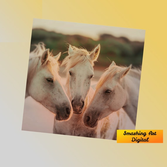 Horse Breeds Designs Horse Breeds Bundle Digital Art | Etsy