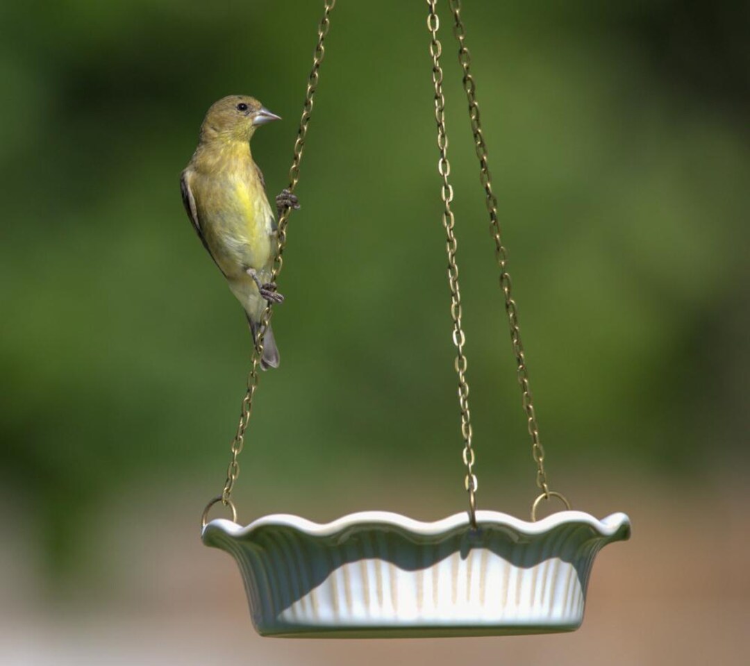 3-in-1 Stoneware Bird Waterer, Bird Bath & Feeder: Garden Accent - Etsy