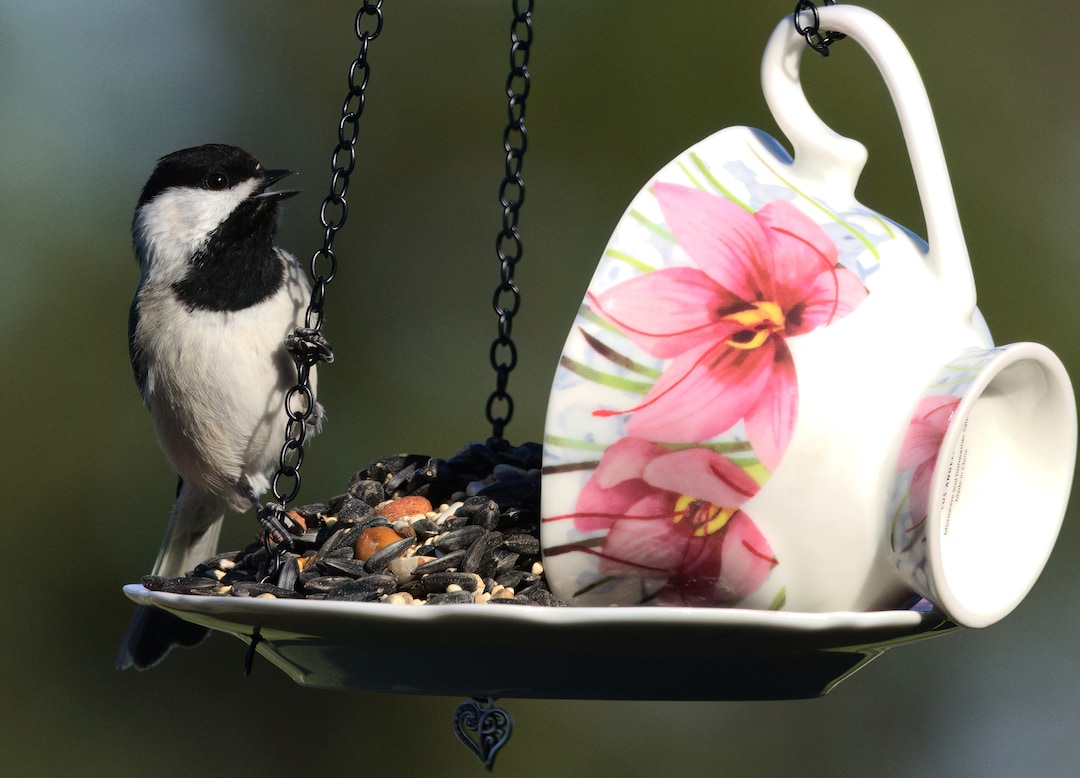 Teacup Birdfeeder, Gift for Mom, Friend. Feeder Station, Garden Feeder ...