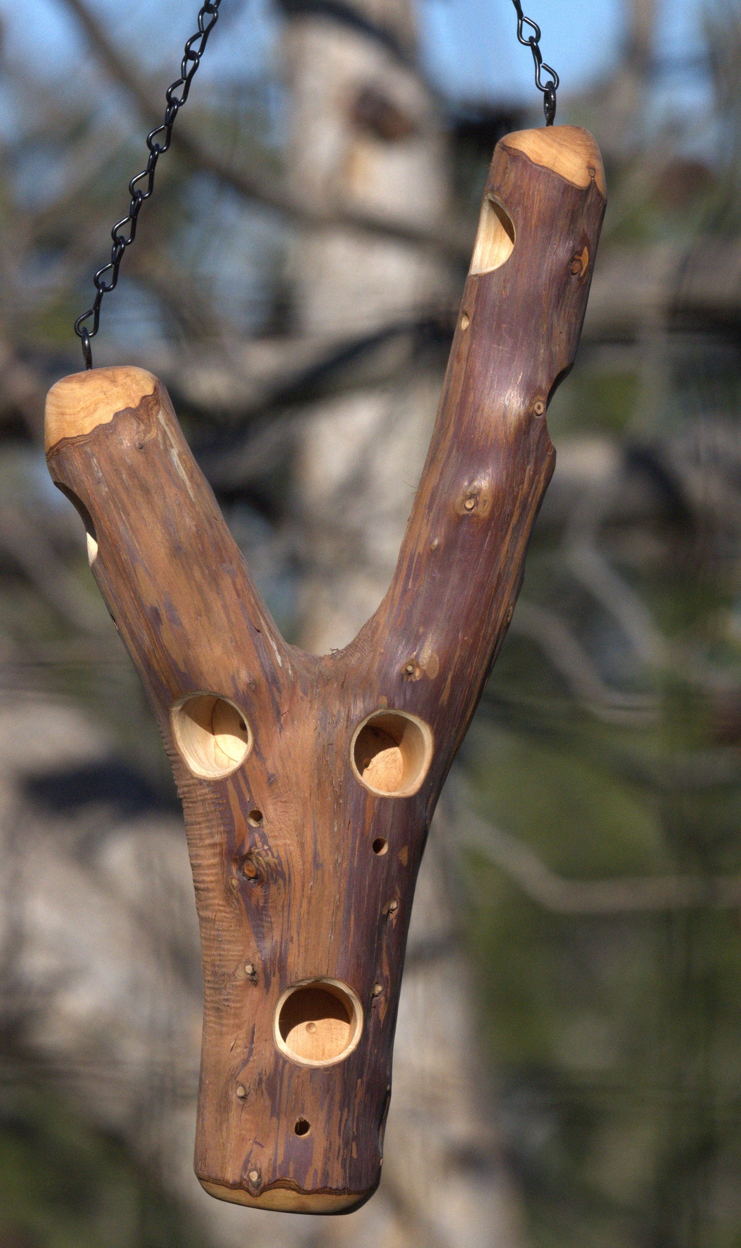 Custom Suet Log Bird Feeders - Etsy