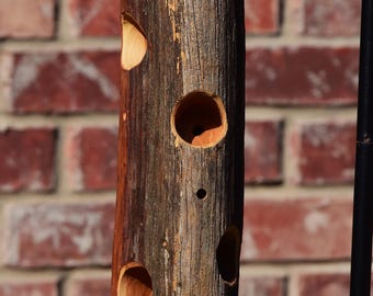 Two Picket Project: Suet Bird Feeder DIY Plans to Make Bird Feeder of ...