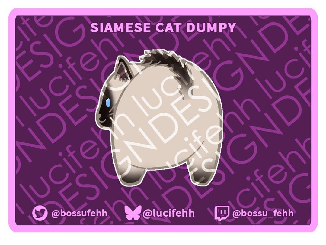 Siamese Cat Dumpy - Etsy