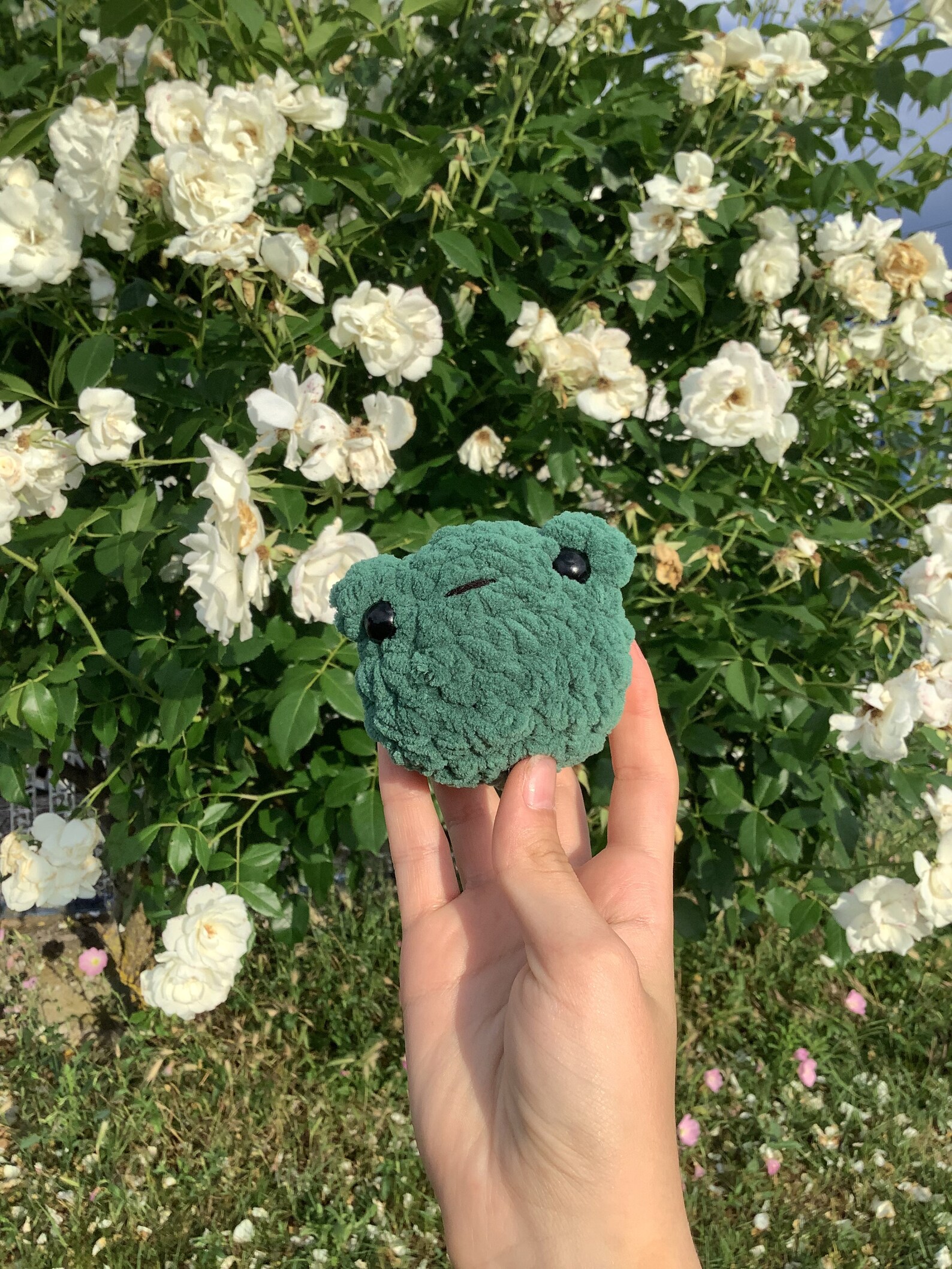 Crochet Handmade Frog - Etsy