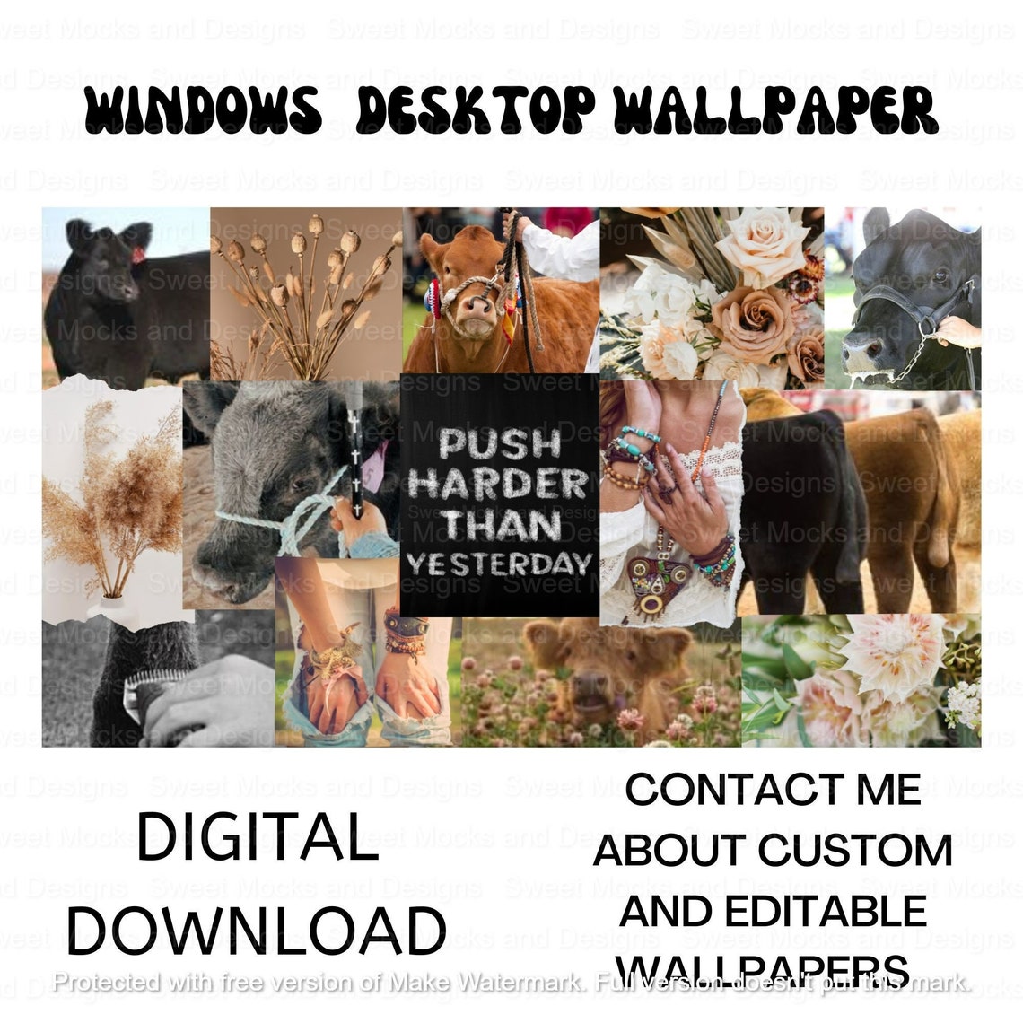 Show Heifer Digital Design** Show Steer Png, Show Cattle Png, Stock ...