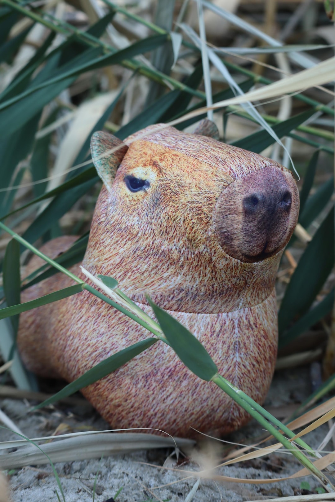 Fidget Toy Capybara, Capybara Soft Calming Toy, Sensory Comfort Toy ...