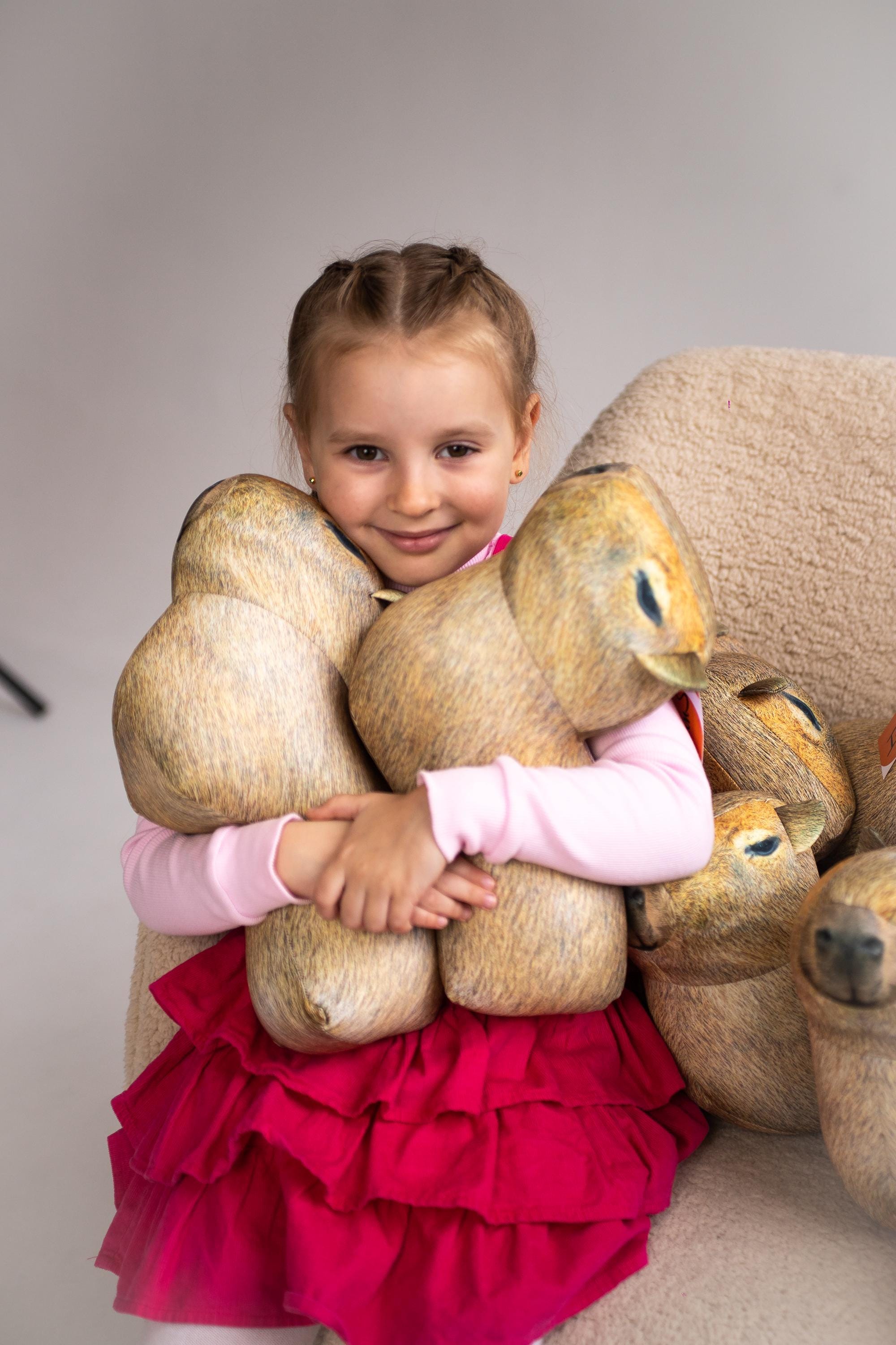 Fidget Toy Capybara, Capybara Soft Calming Toy, Sensory Comfort Toy ...