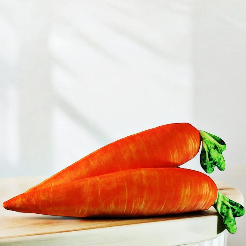 Stuffed Carrot Toy - Etsy