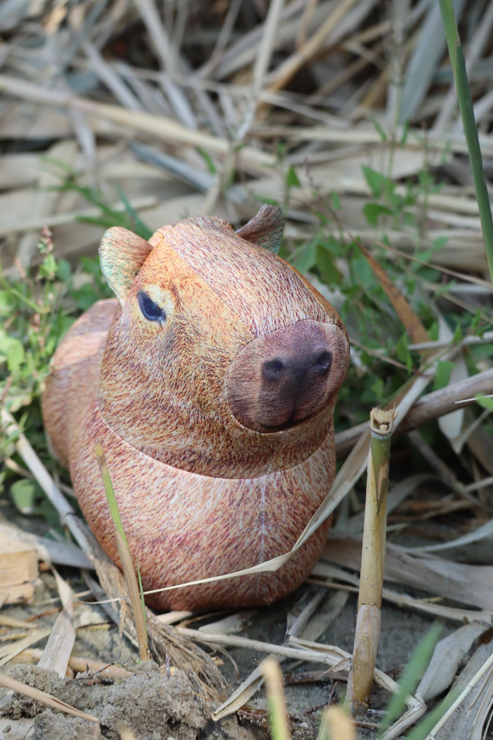 Fidget Toy Capybara, Capybara Soft Calming Toy, Sensory Comfort Toy ...