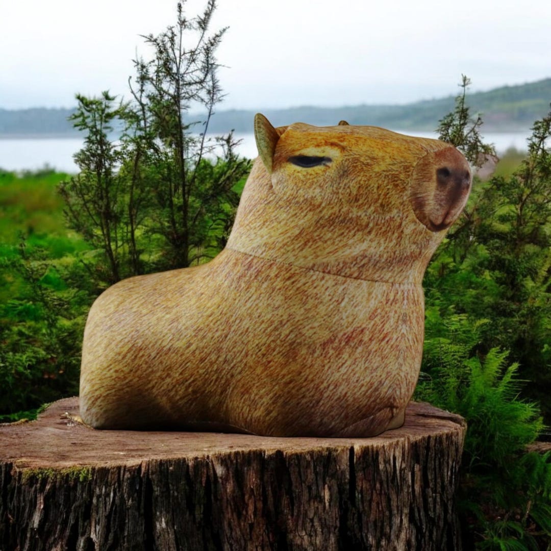 Capybara Soft Calming Toy, Capybara Stuffed Animal Toy, Cute Animal ...