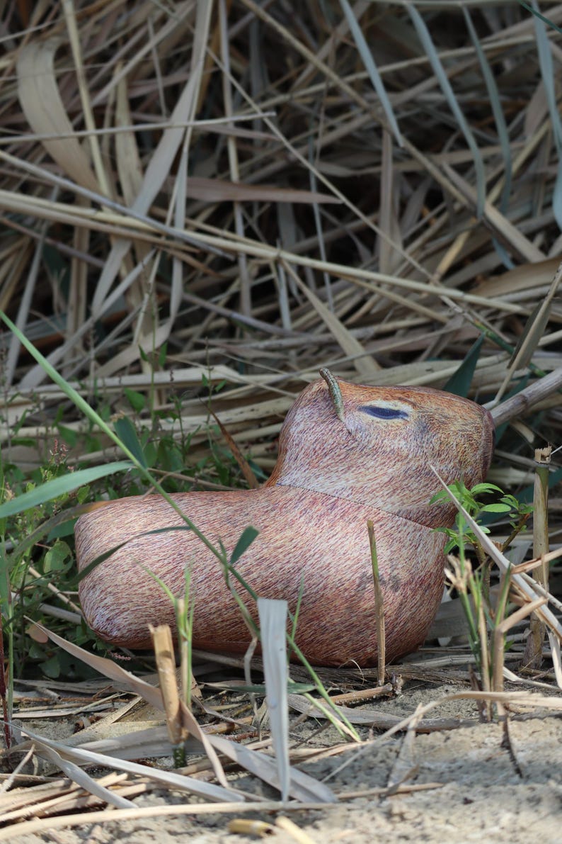 Fidget Toy Capybara, Capybara Soft Calming Toy, Sensory Comfort Toy ...