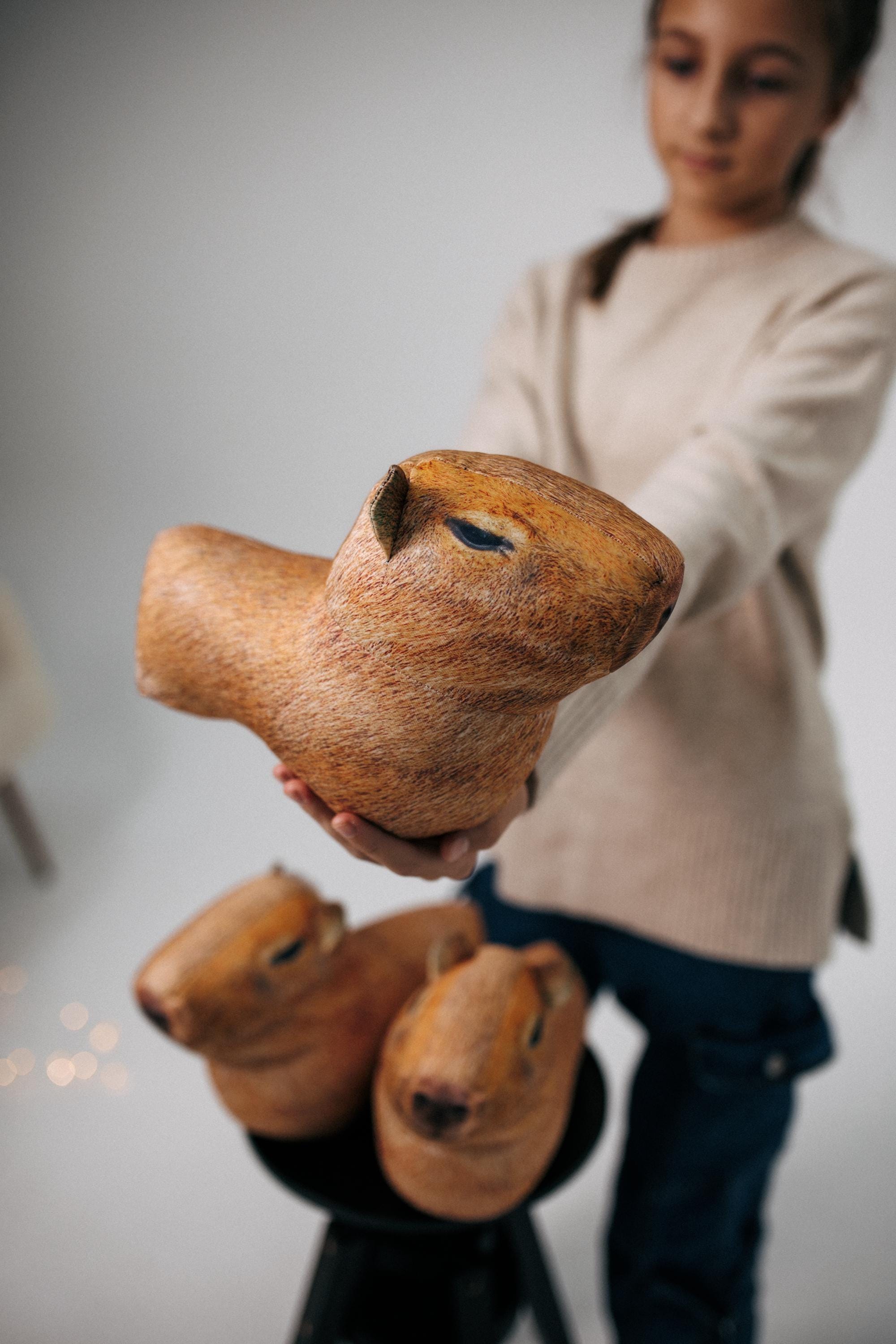 Fidget Toy Capybara, Capybara Soft Calming Toy, Sensory Comfort Toy ...