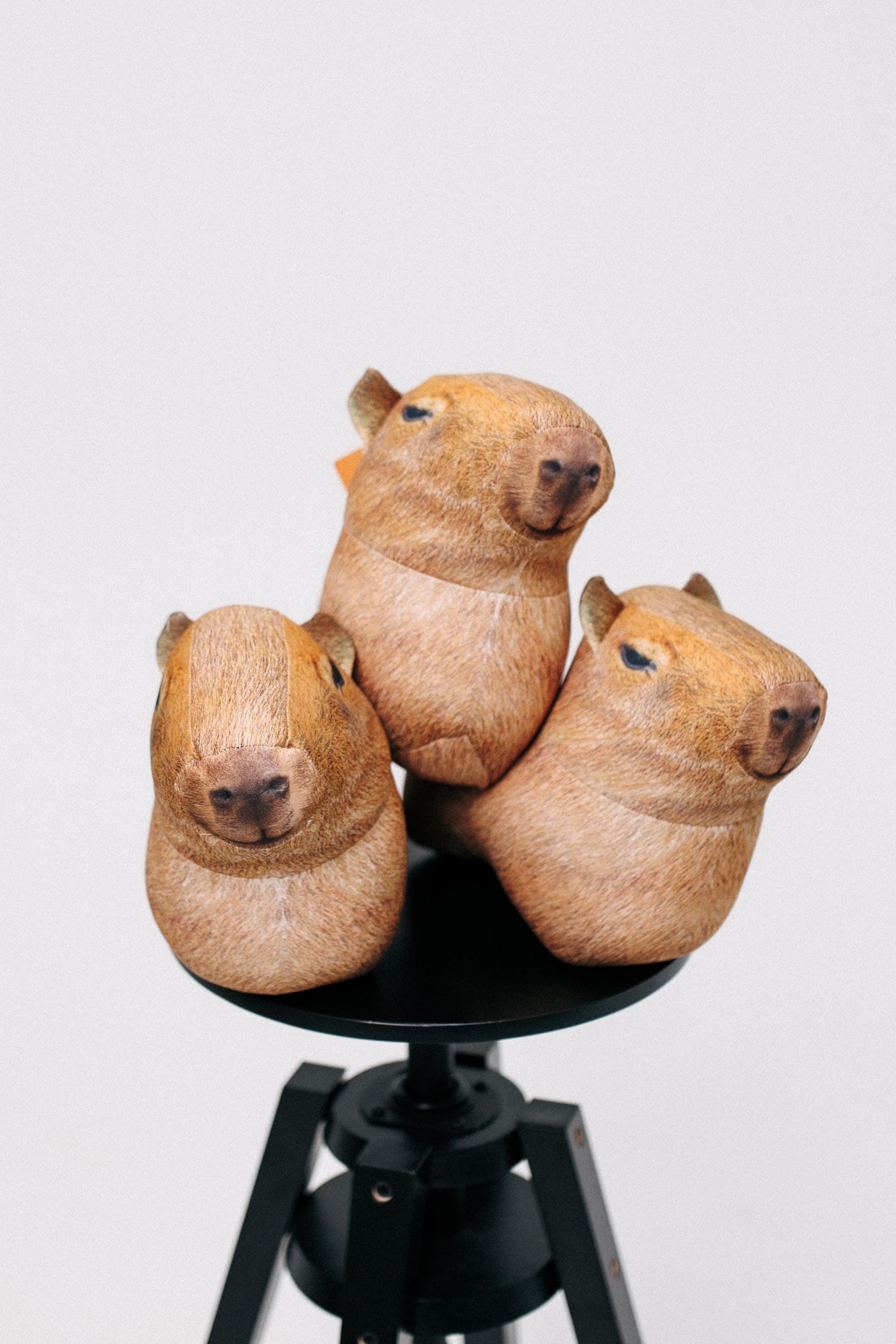 Fidget Toy Capybara, Capybara Soft Calming Toy, Sensory Comfort Toy ...